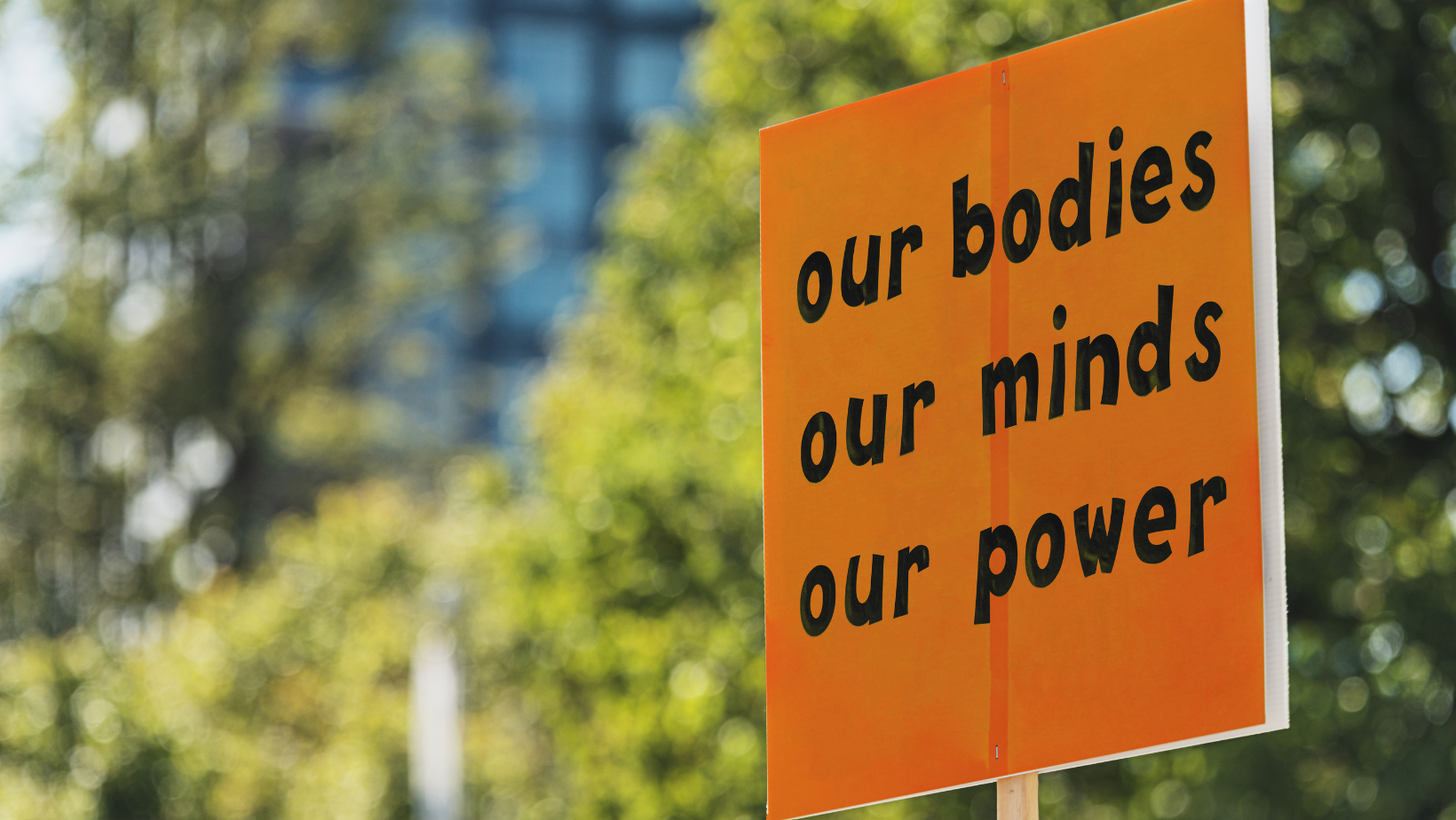 At Aavia, your body is your business | Privacy Practices – More Than a ...